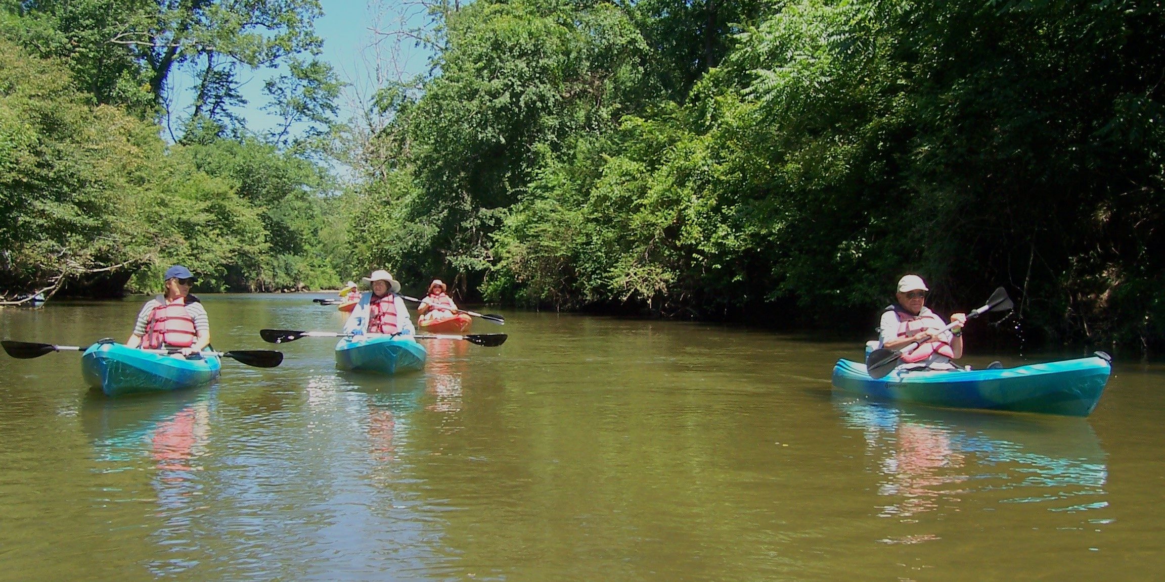 Summer Voyage Down The Headwaters Of The French Broad River - Lake ...